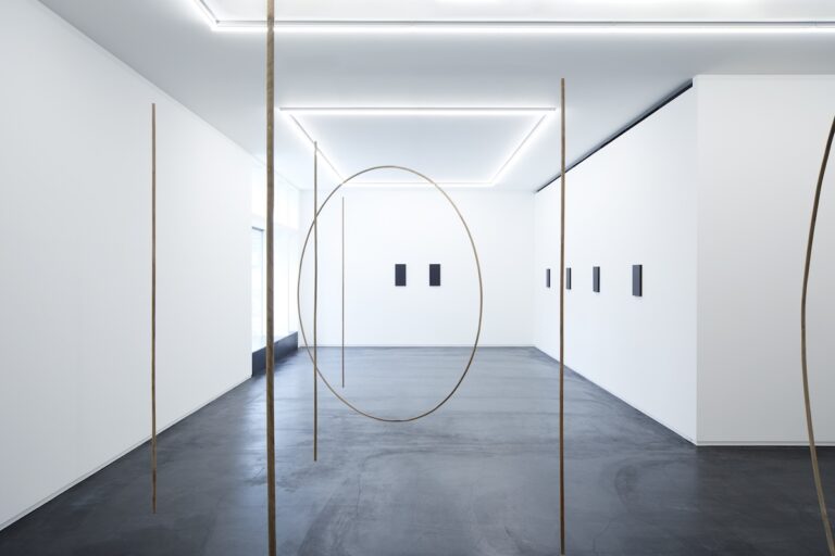 Maria Taniguchi | Taguchi Art Collection